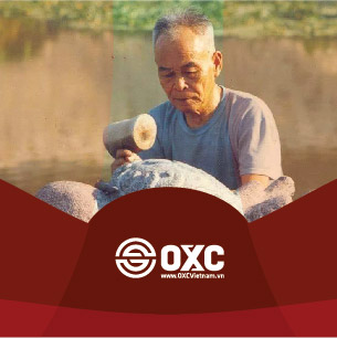 Giới Thiệu về OXC - Lăng Mộ Đá OXC